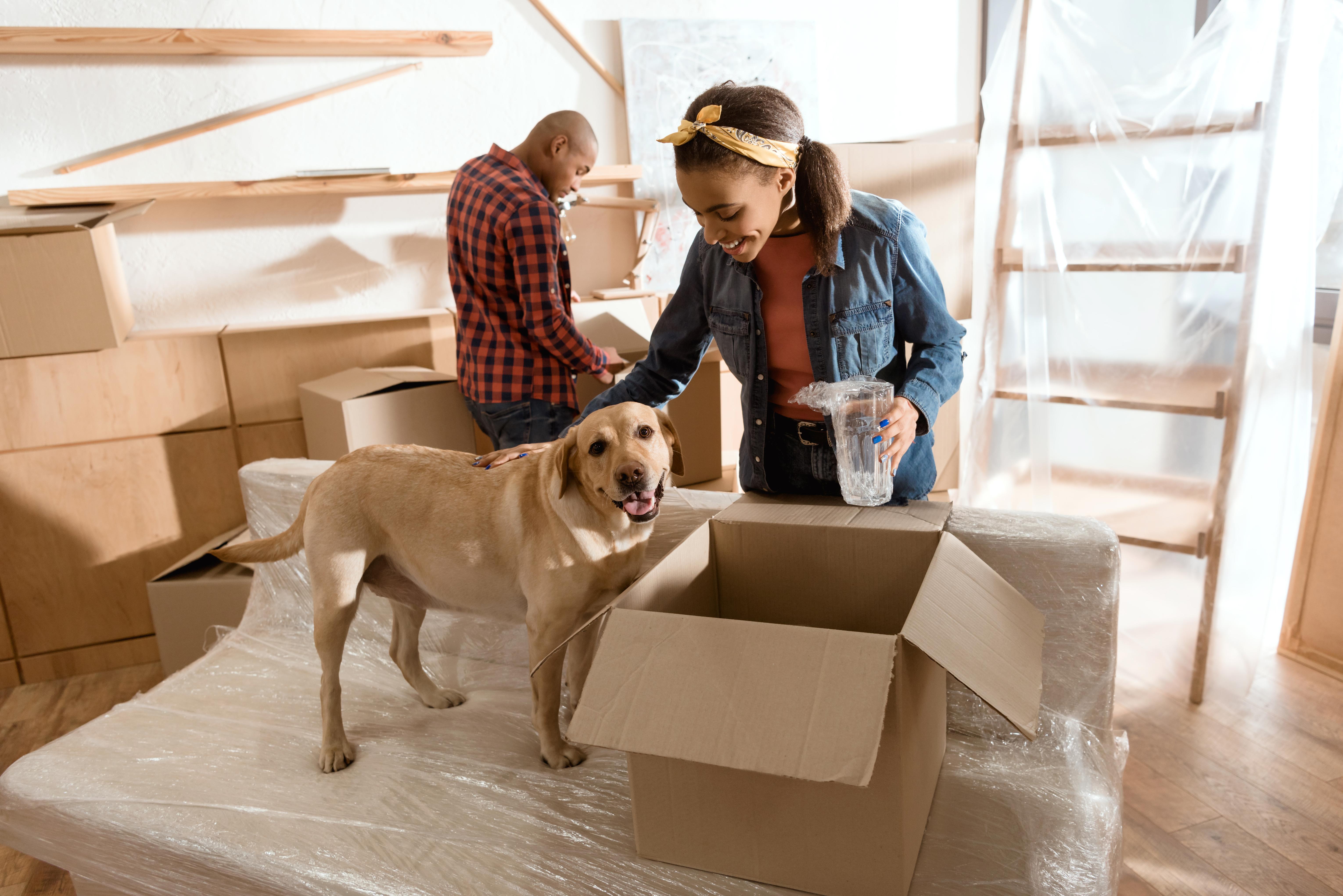 How To Help a Dog Adjust to a New Home: A Guide